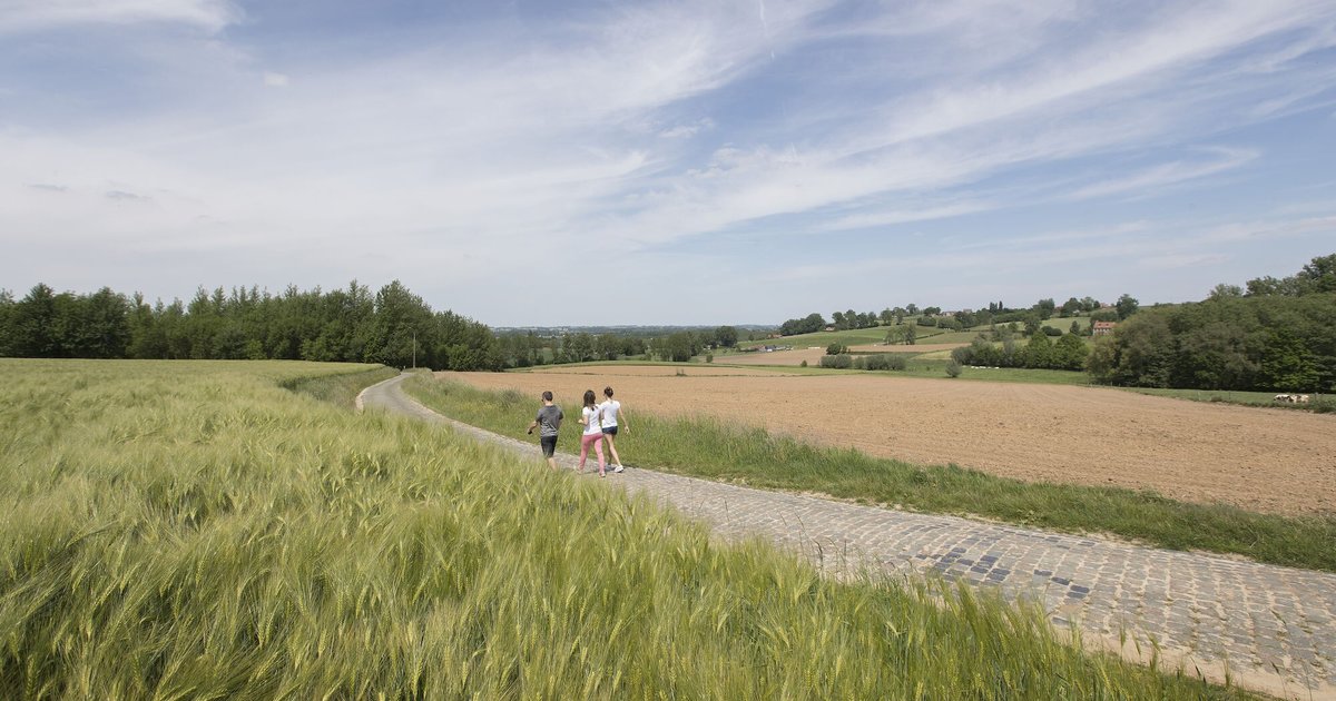 De Panorama wandelroute in Kluisbergen start in Kwaremont