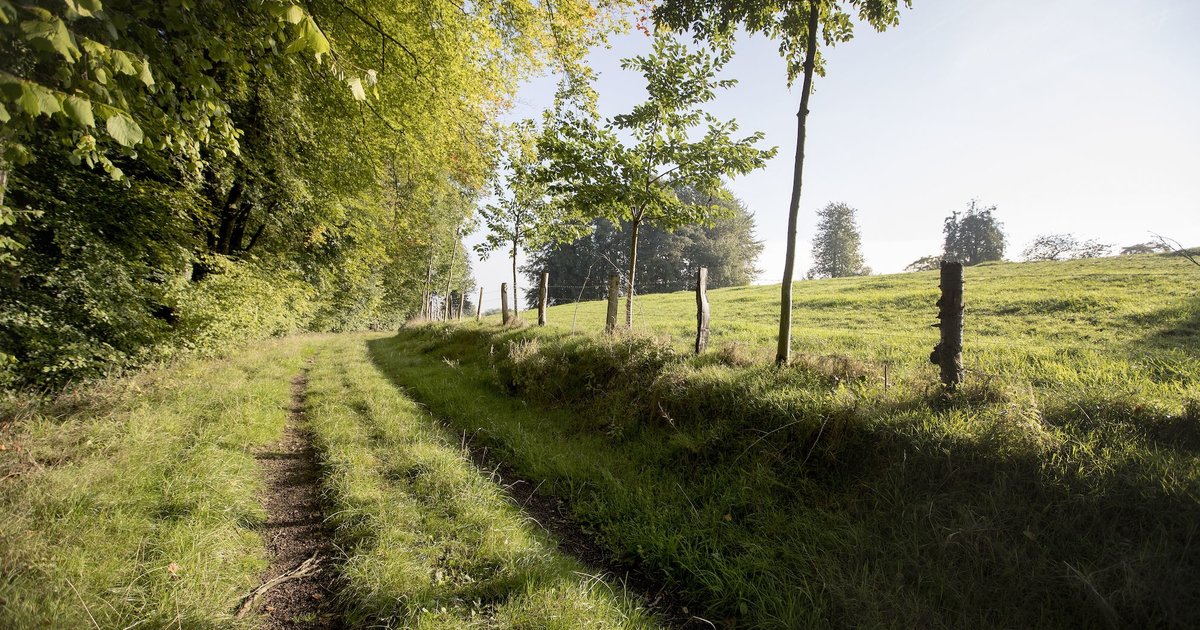 Brakel | In de Vlaamse Ardennen