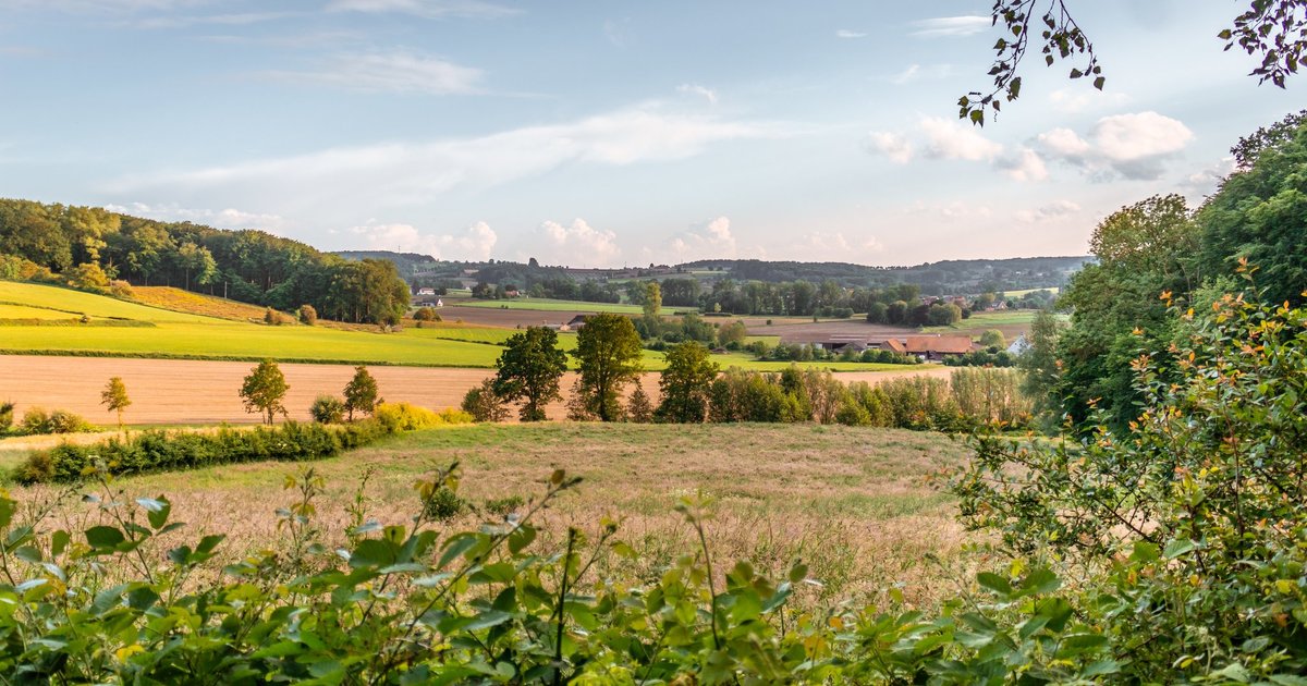 De Panorama wandelroute in Kluisbergen start in Kwaremont